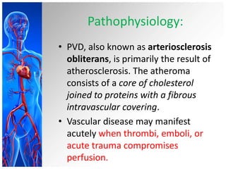 Periphral Arterial Disease | PPTX | Diabetes | Diseases and Conditions