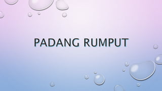 Padang rumput | PPTX