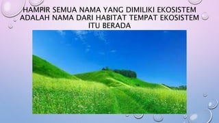 Padang rumput | PPTX