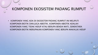 Padang rumput | PPTX