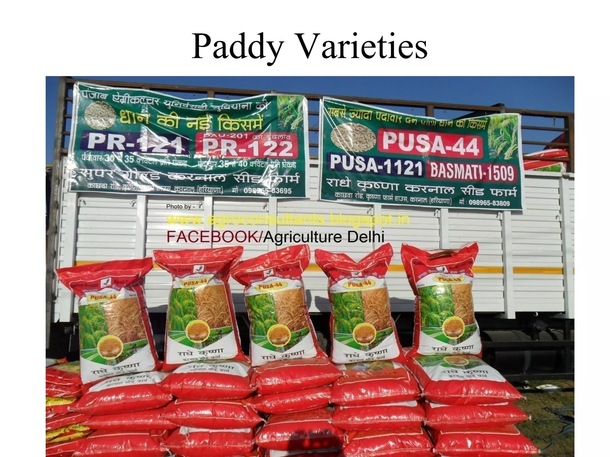 Paddy Rice package of practices India | PPT