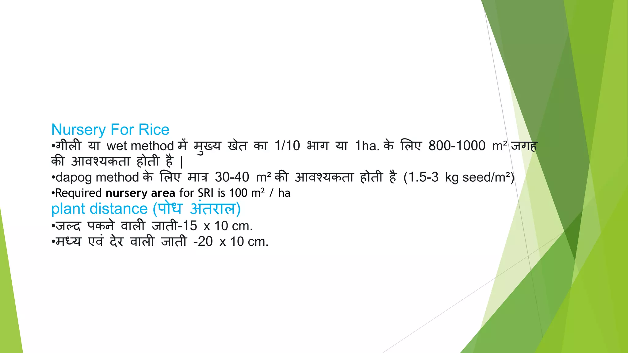 cultivation of paddy / rice || Agronomy || B.Sc agriculture | PPTX