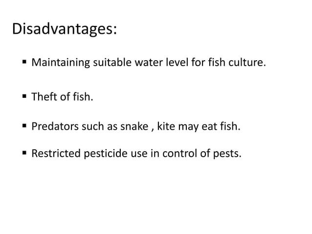 Paddy cum- fish culture | PPTX | Agriculture | Industries