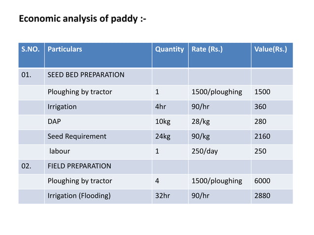 Paddy cum- fish culture | PPTX | Agriculture | Industries