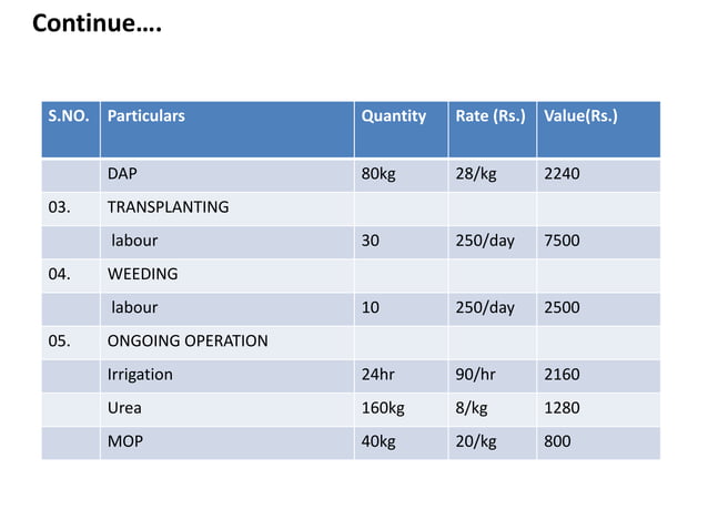 Paddy cum- fish culture | PPTX | Agriculture | Industries