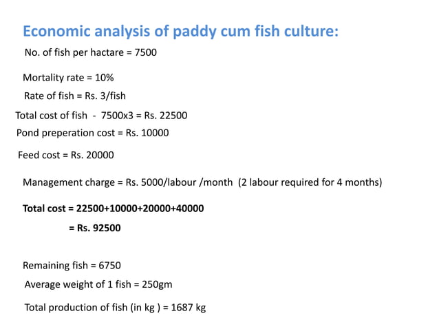 Paddy cum- fish culture | PPTX | Agriculture | Industries