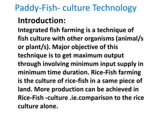 Paddy cum- fish culture | PPTX
