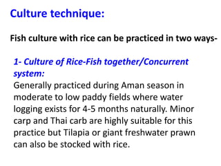 Paddy cum- fish culture | PPTX