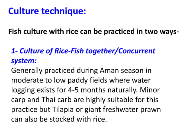 Paddy cum- fish culture | PPTX | Agriculture | Industries