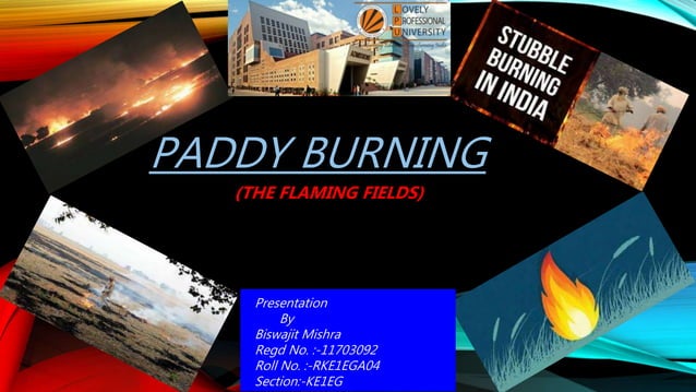 Paddy Burning (The Burning Field)......... | PPT