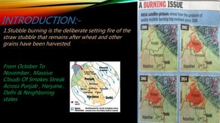 Paddy Burning (The Burning Field)......... | PPT