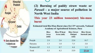 Paddy Burning (The Burning Field)......... | PPTX
