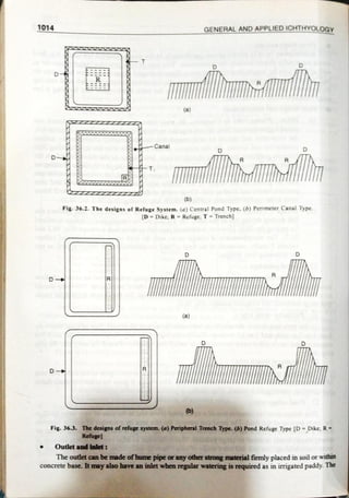 Paddy field culture FOR AQUACULTURE FISH | PDF