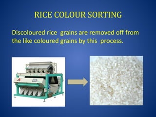 paddy milling | PDF