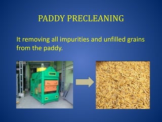 paddy milling | PDF