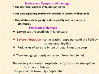Paddy pests 11 | PPTX