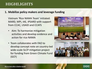 CCAC Paddy Rice Component: Highlights, Challenges, Lessons | PPTX