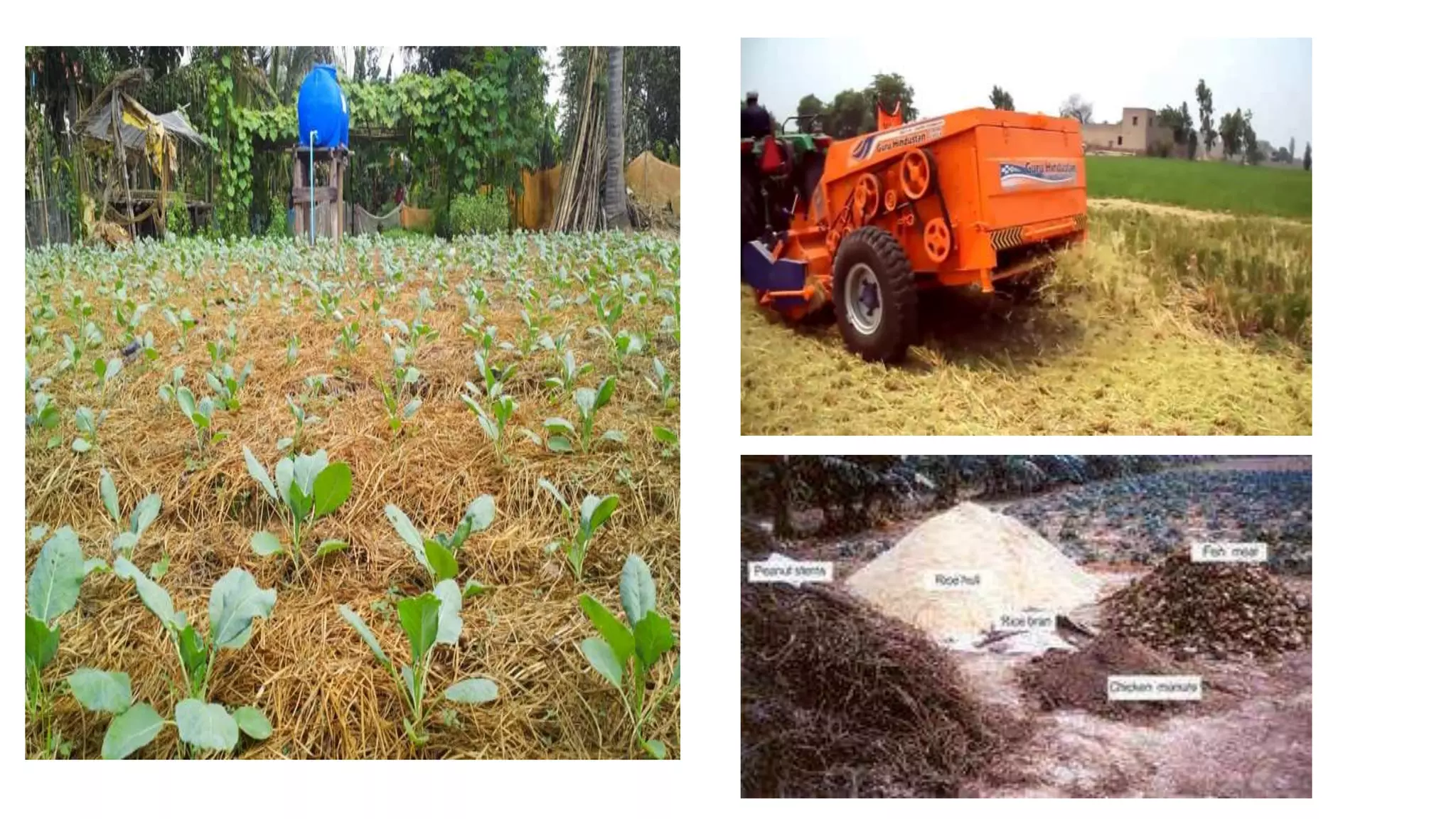 Paddy straw managment | PPTX