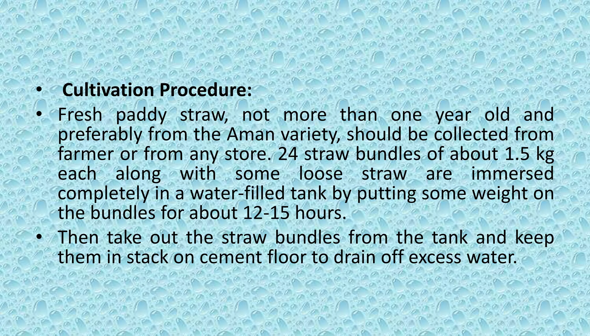 Paddy straw mushroom | PPTX