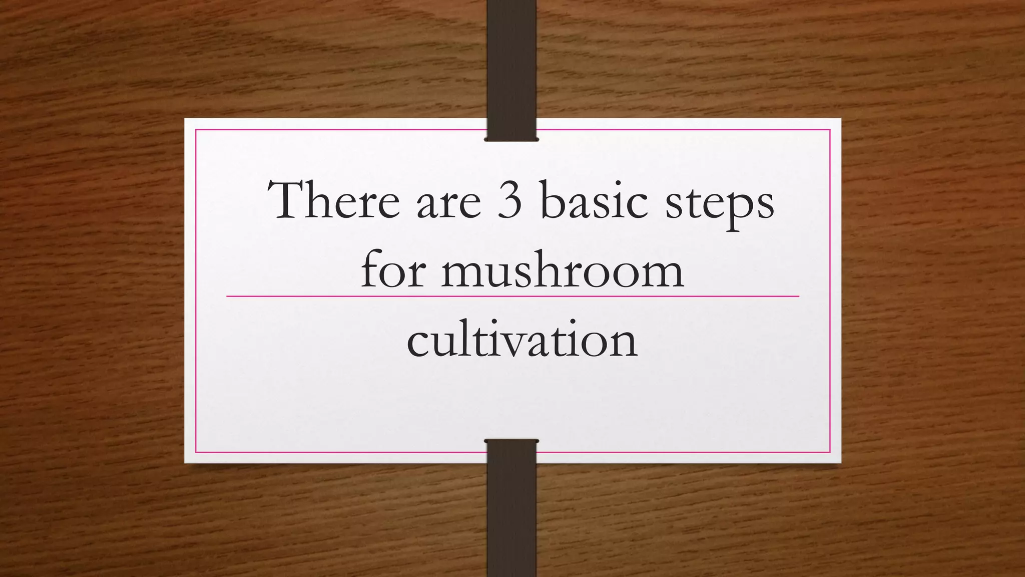 Paddystraw mushroom presentation | PDF