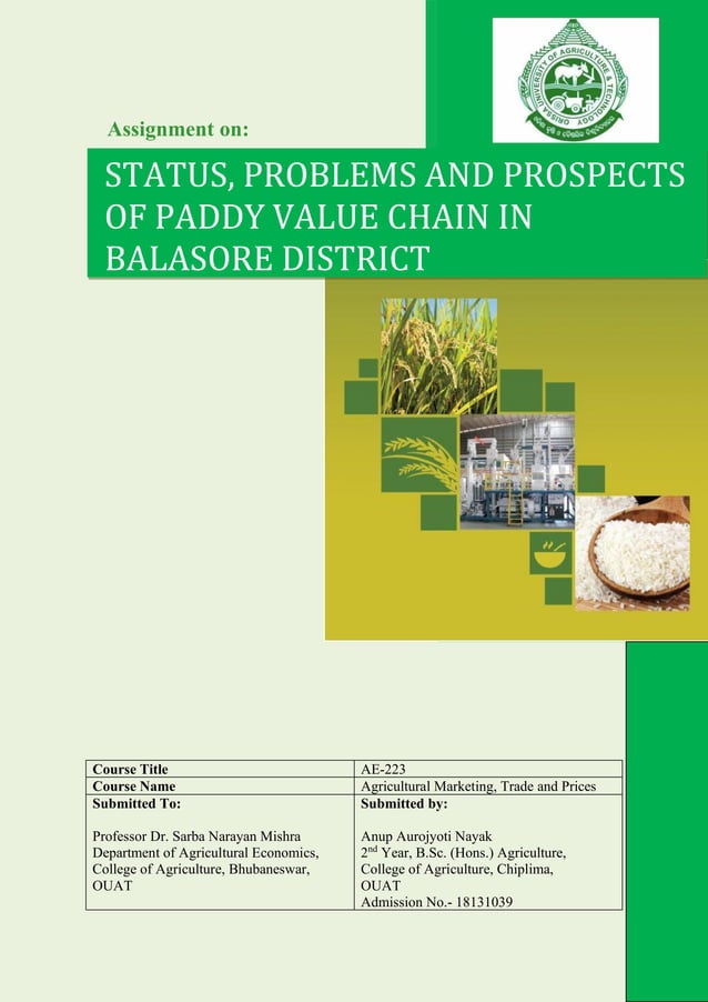 Paddy Value Chain in Balasore | PDF | Agriculture | Industries