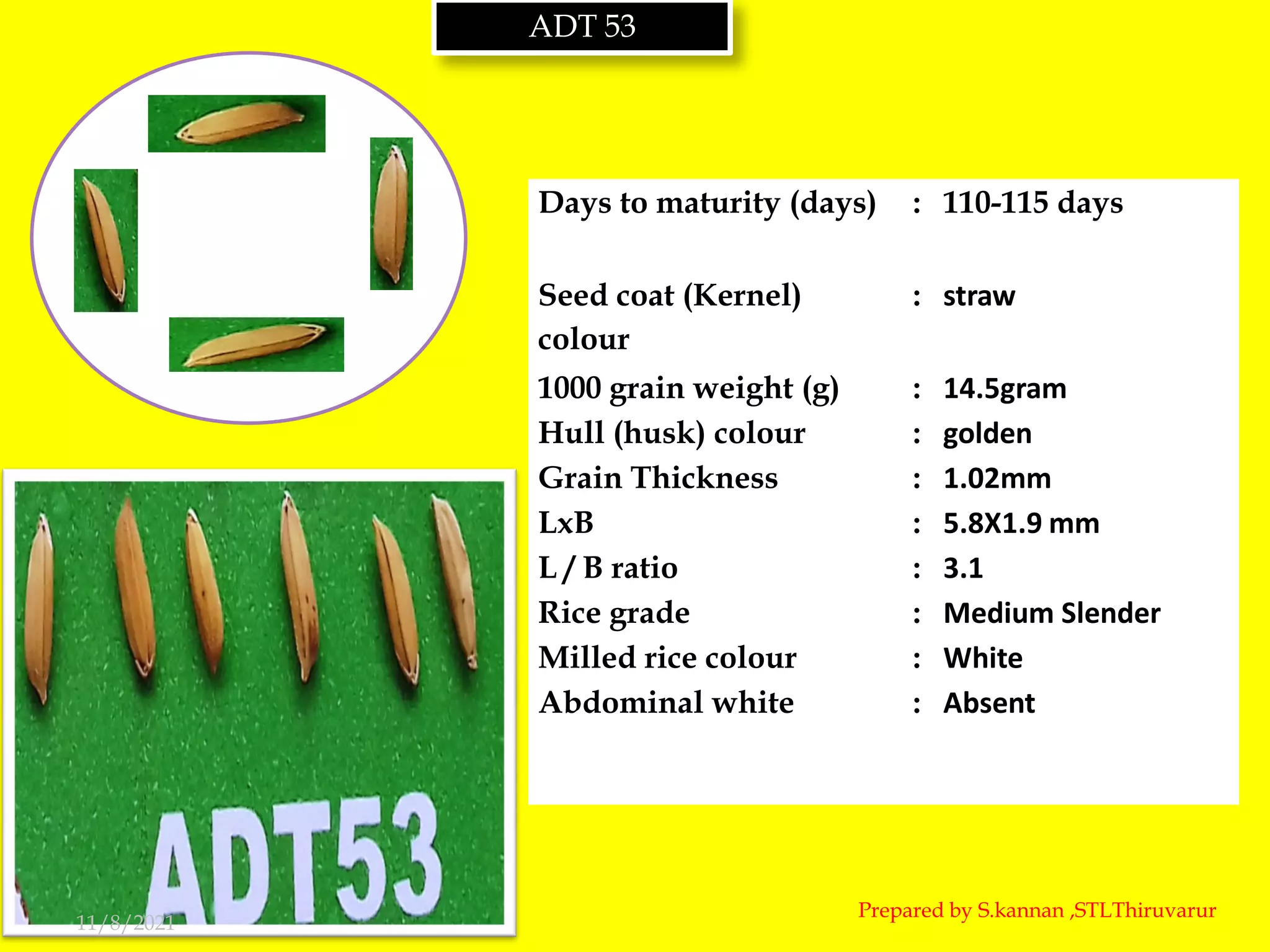 Paddy varietal characters | PDF