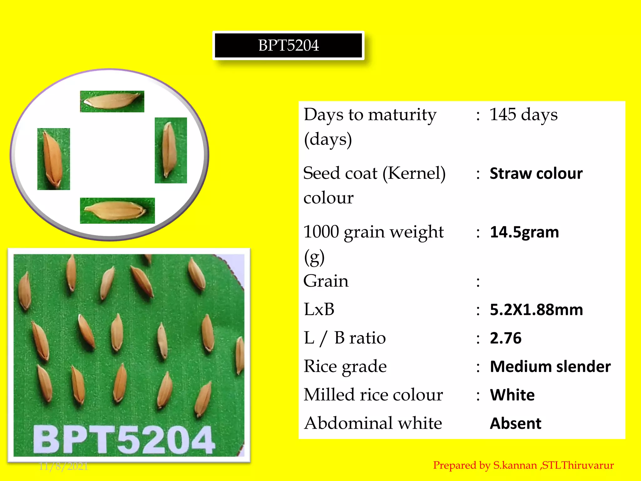 Paddy varietal characters | PDF