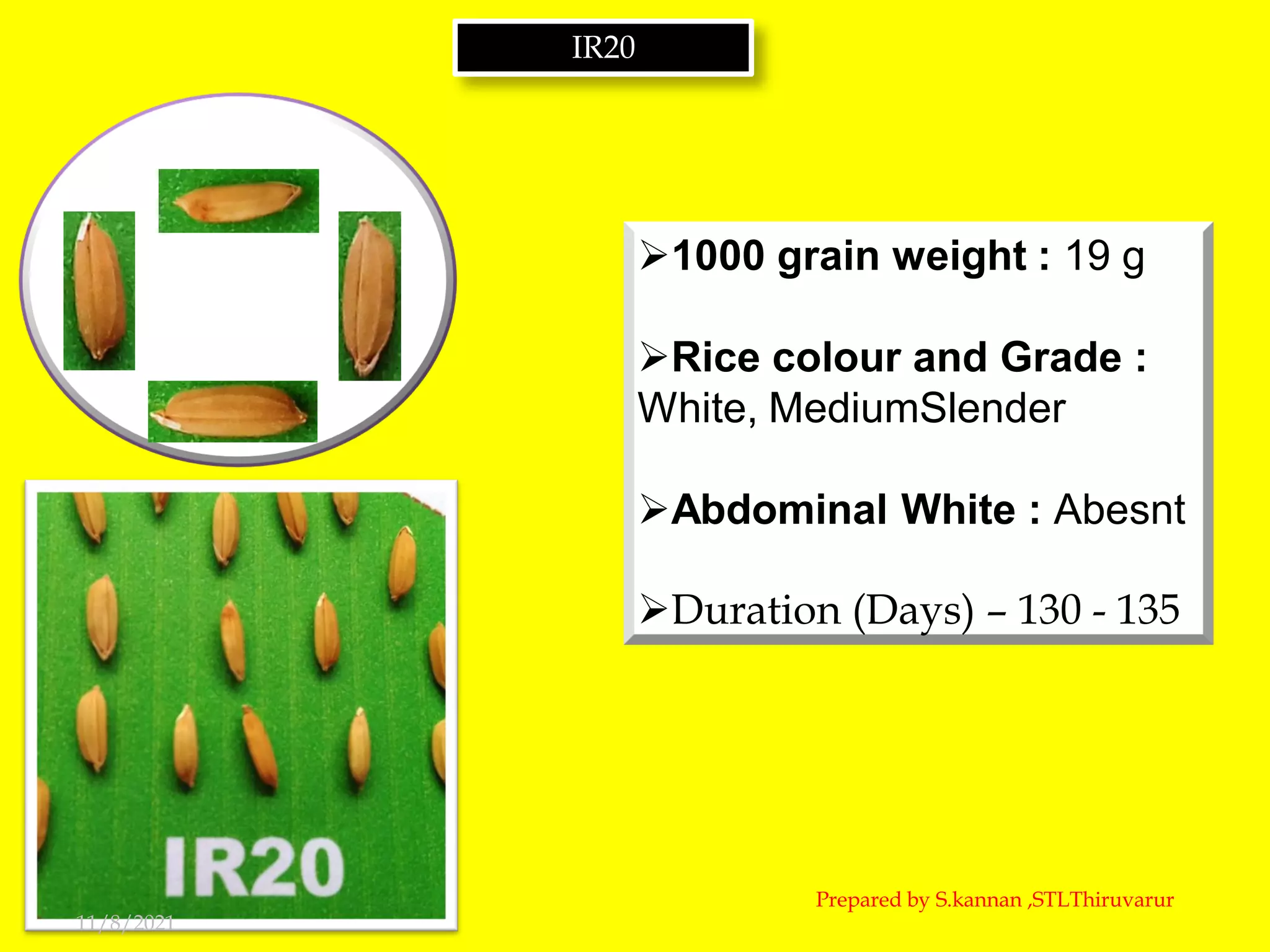 Paddy varietal characters | PDF