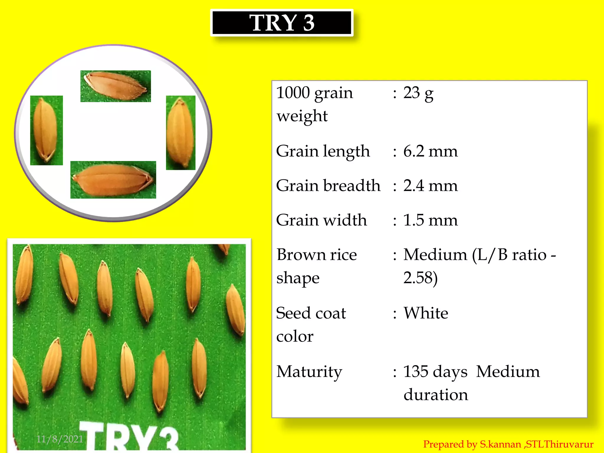 Paddy varietal characters | PDF