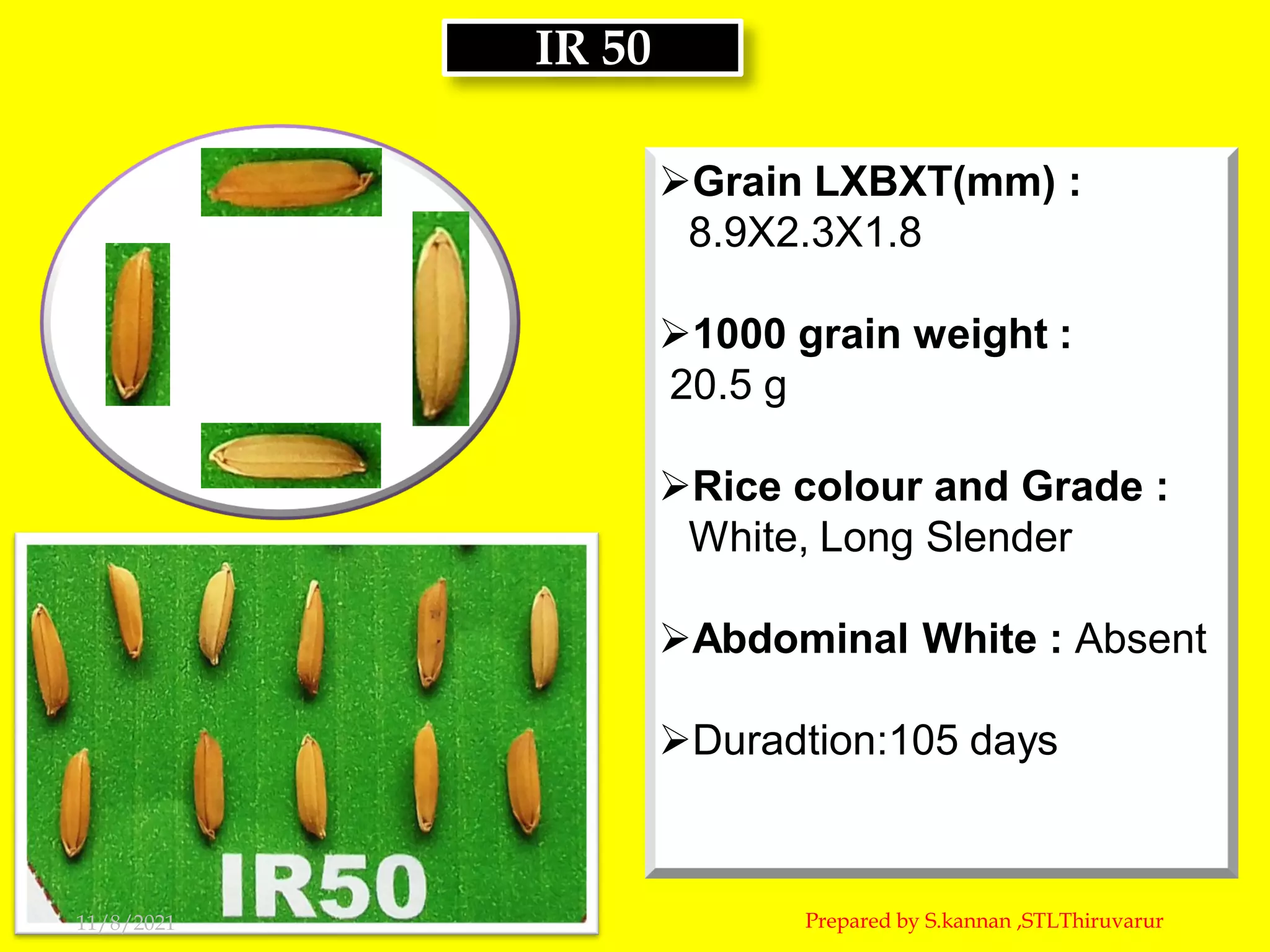 Paddy varietal characters | PDF