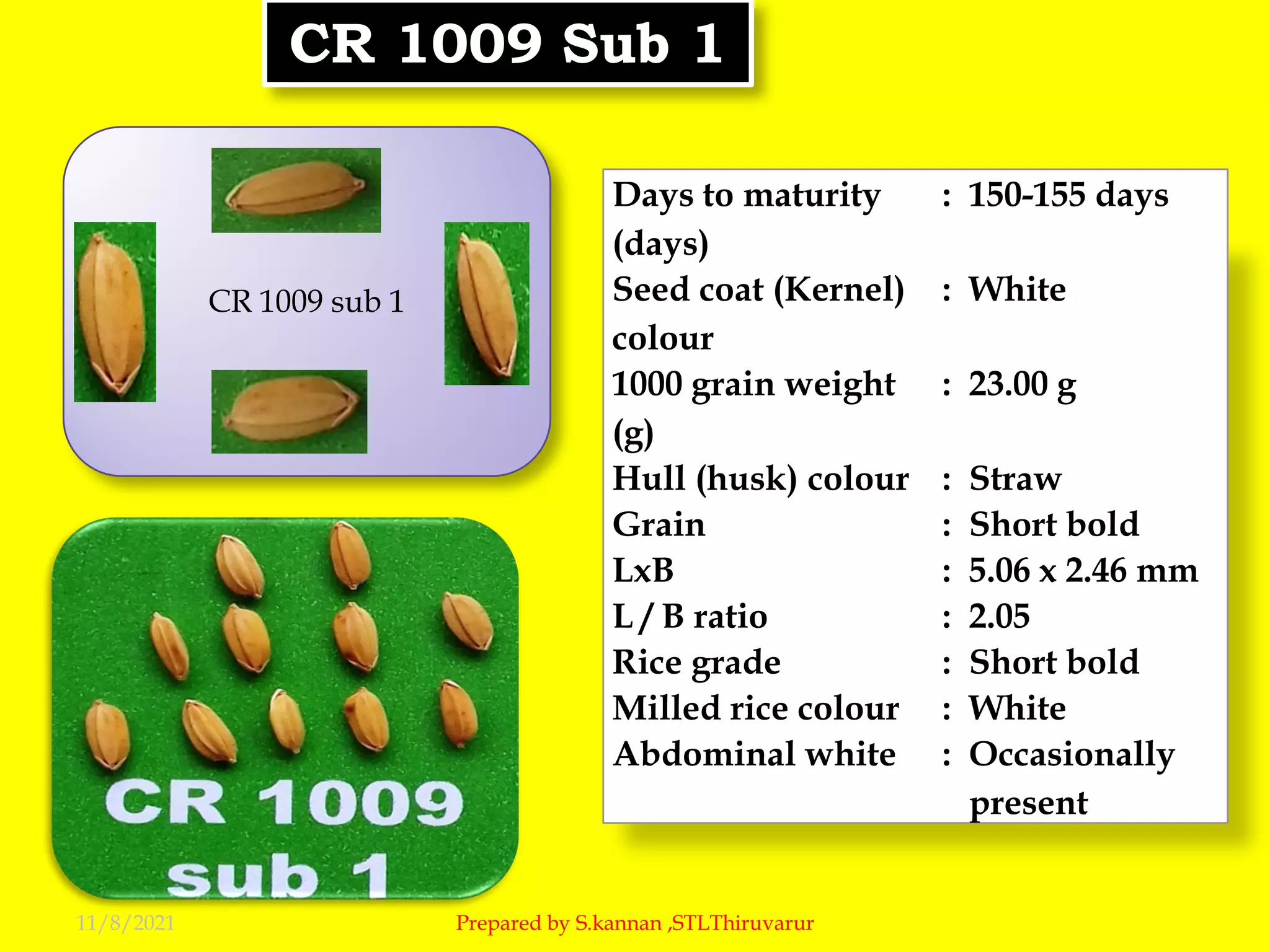 Paddy varietal characters | PDF