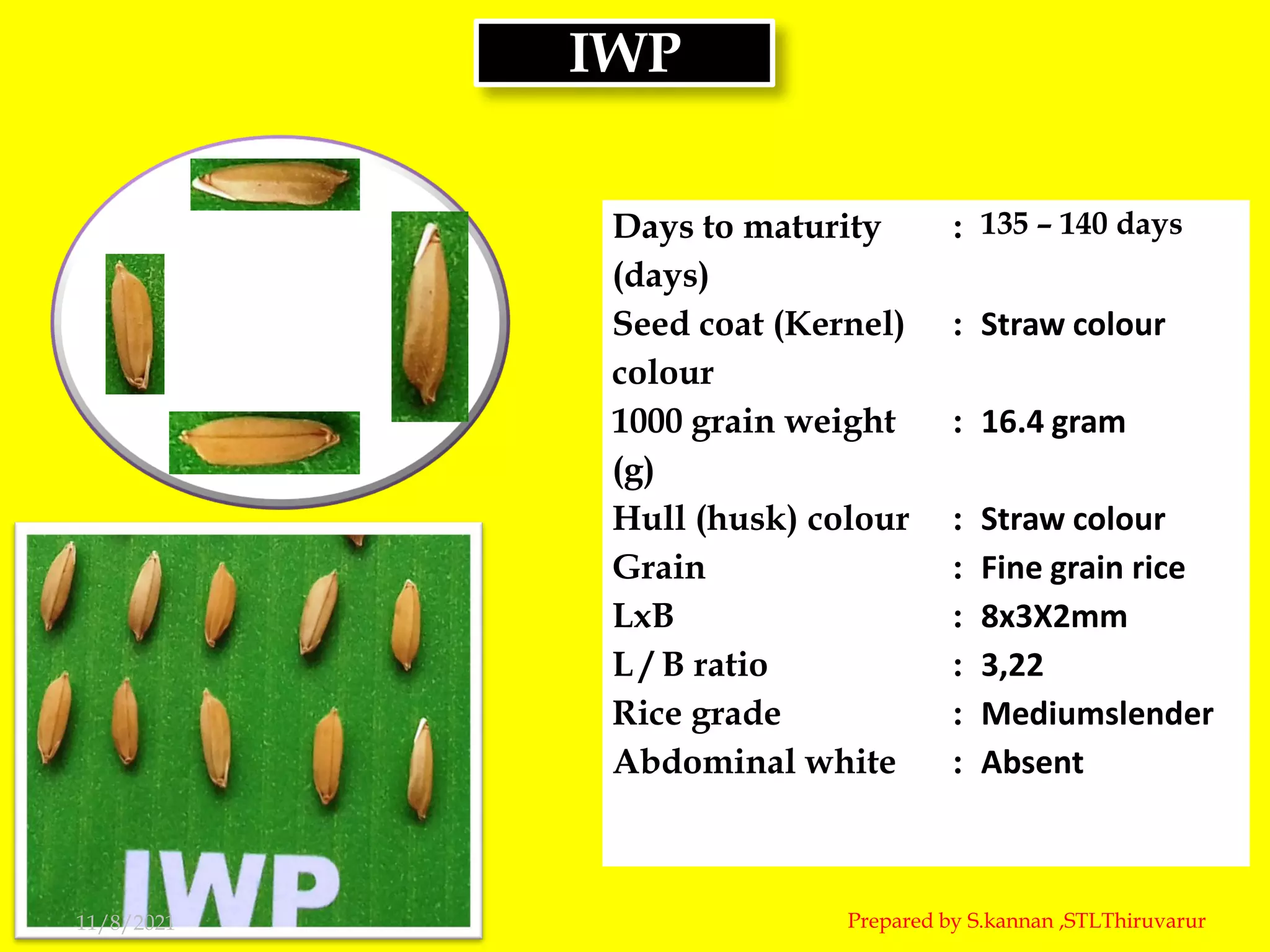 Paddy varietal characters | PDF
