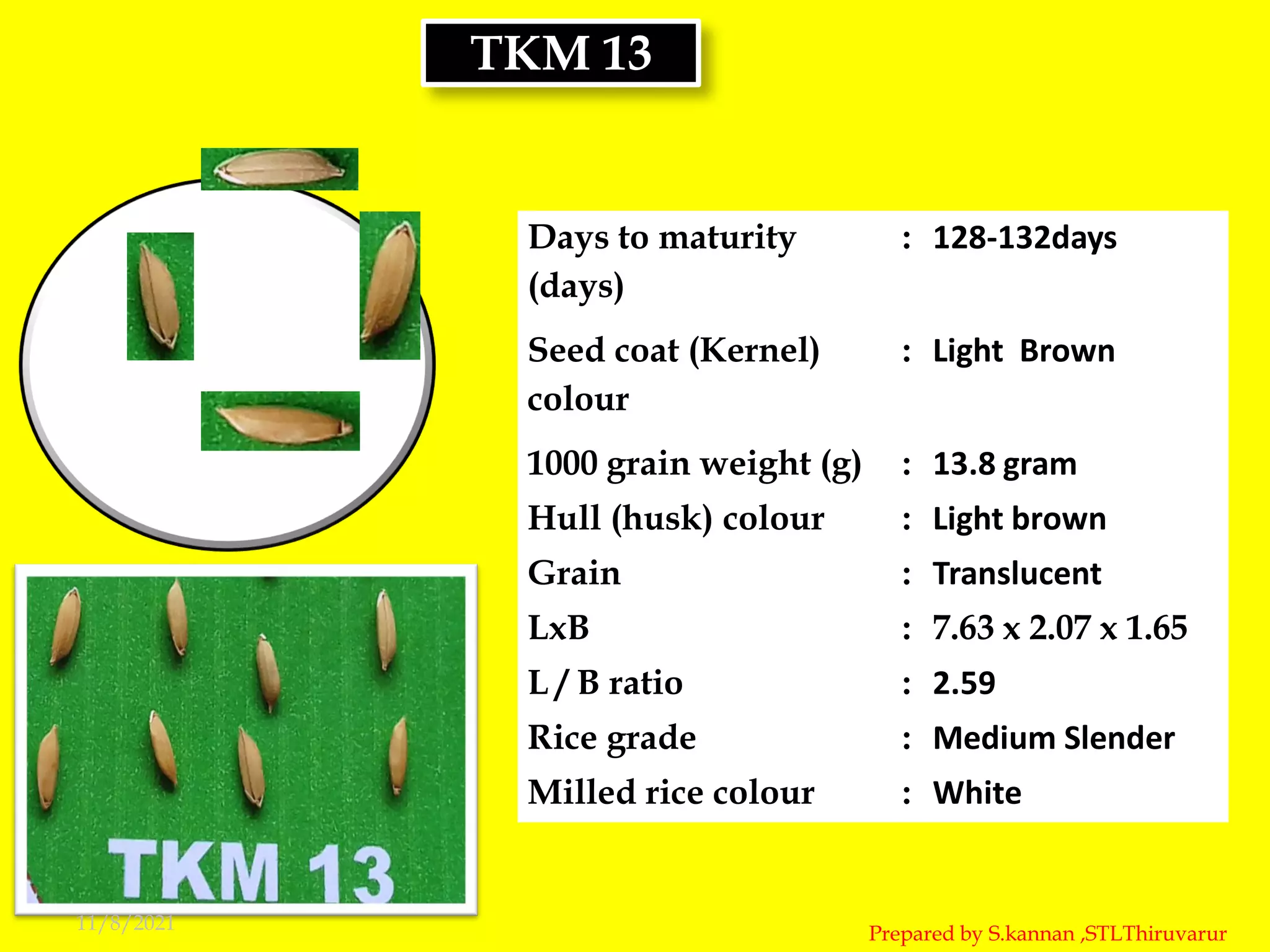 Paddy varietal characters | PDF