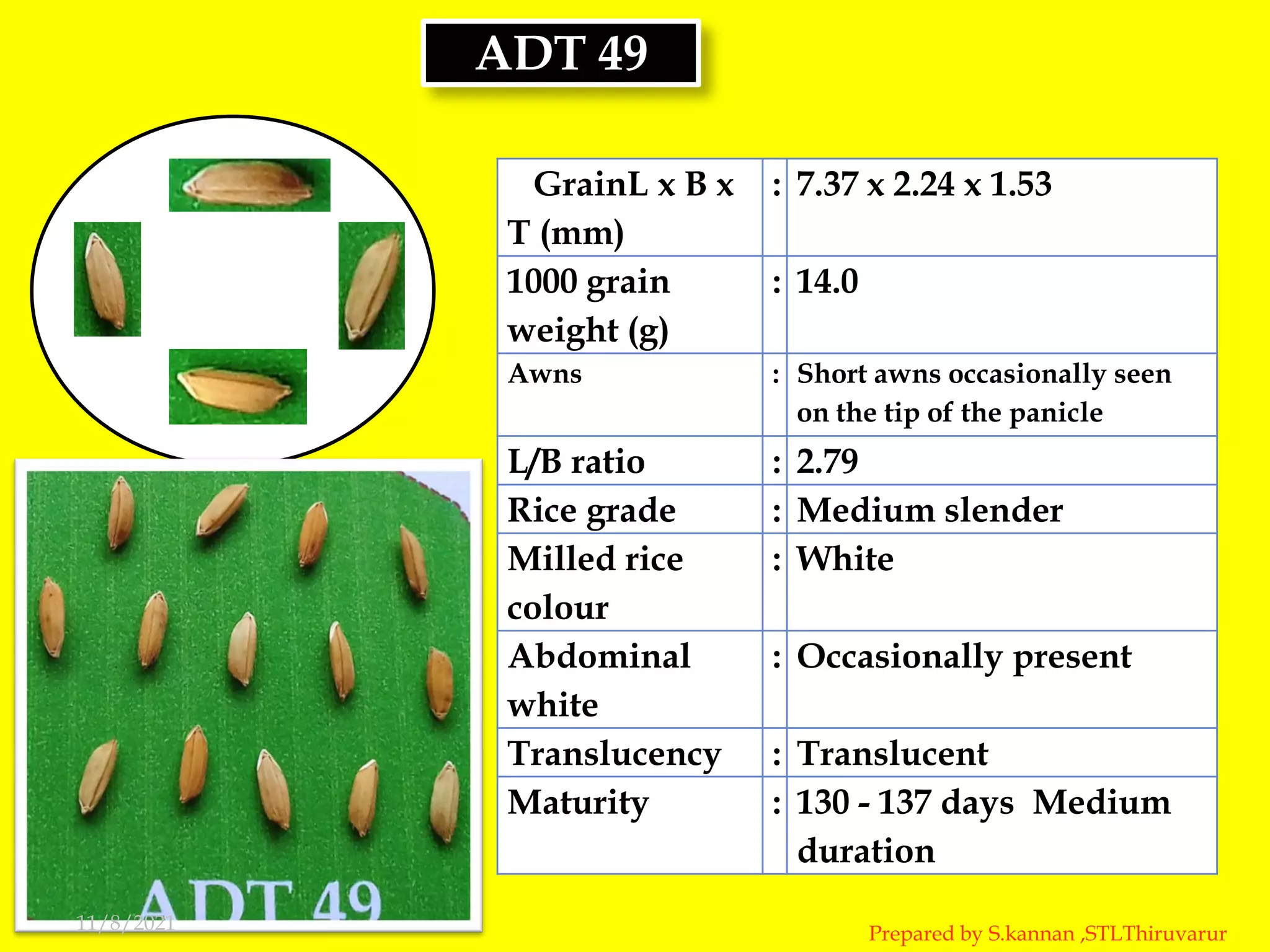 Paddy varietal characters | PDF
