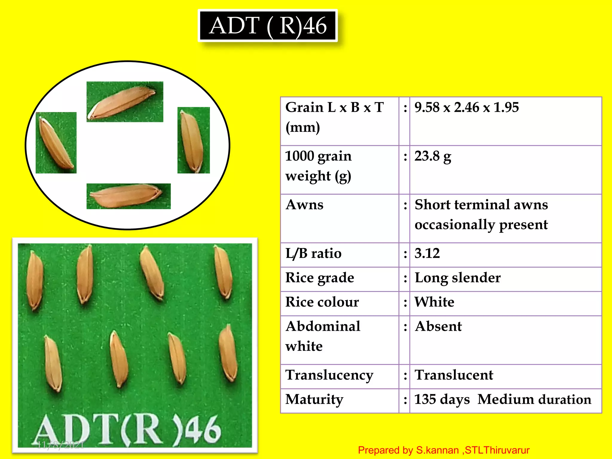 Paddy varietal characters | PDF
