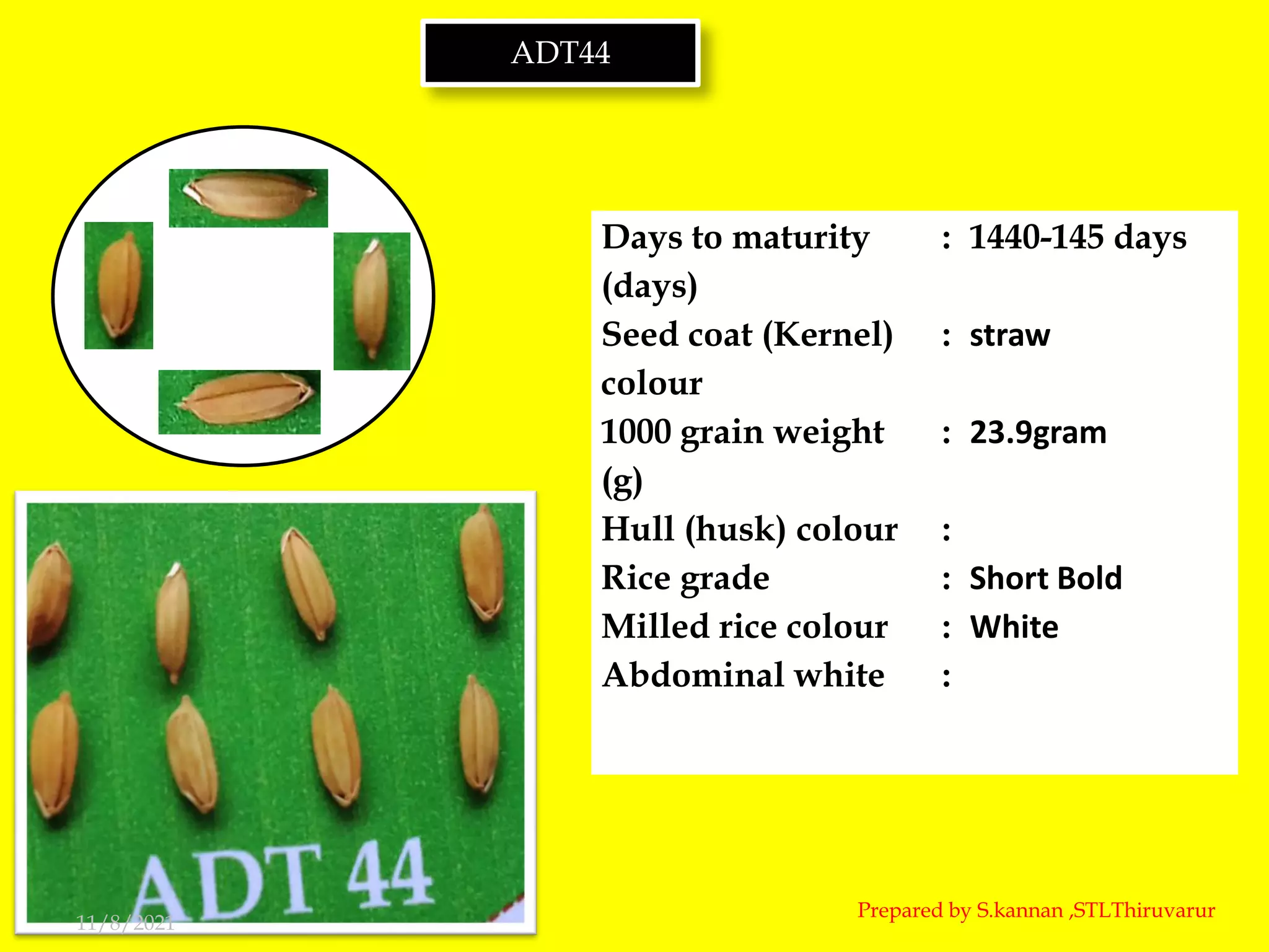 Paddy varietal characters | PDF