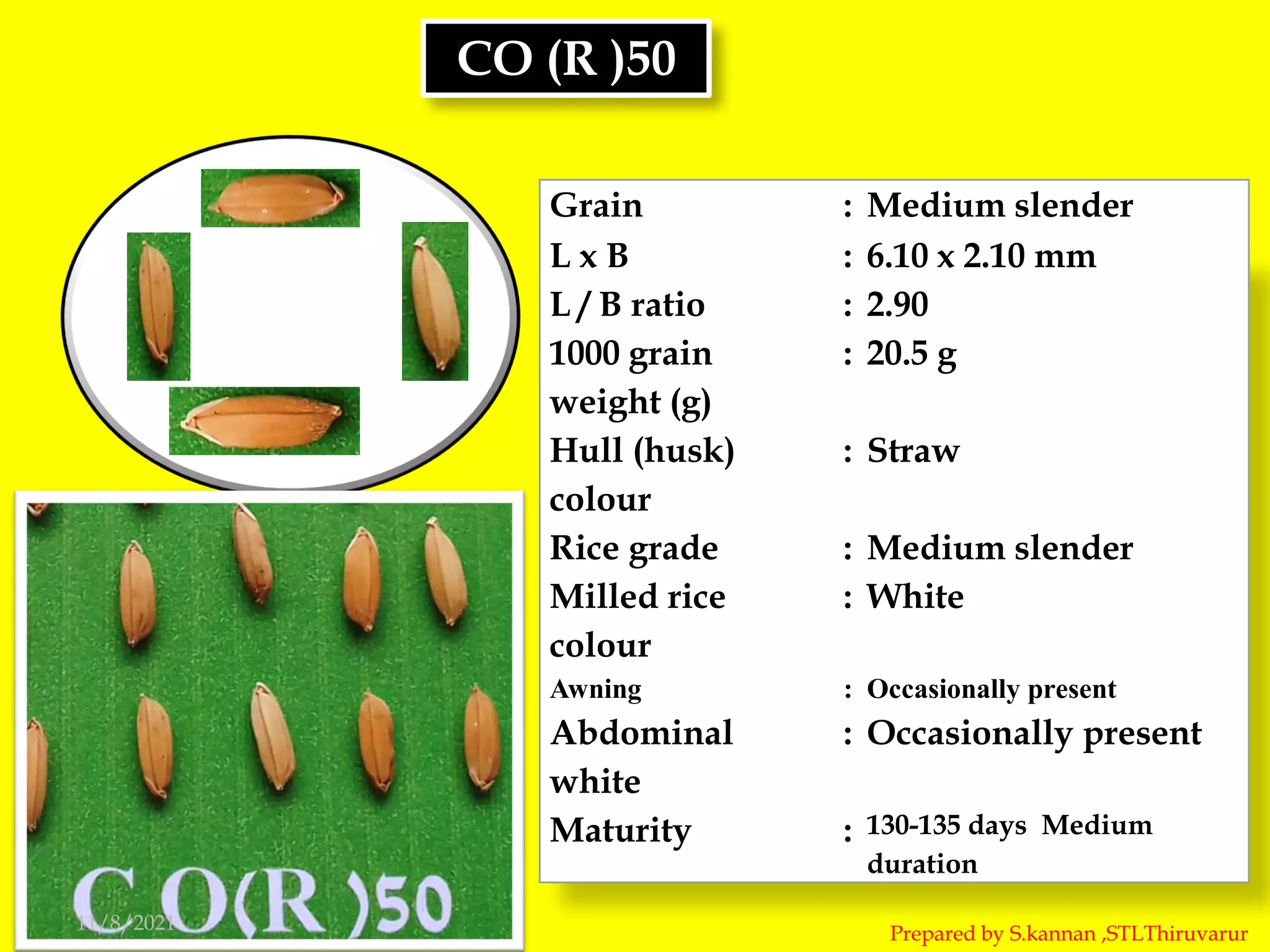 Paddy varietal characters | PDF