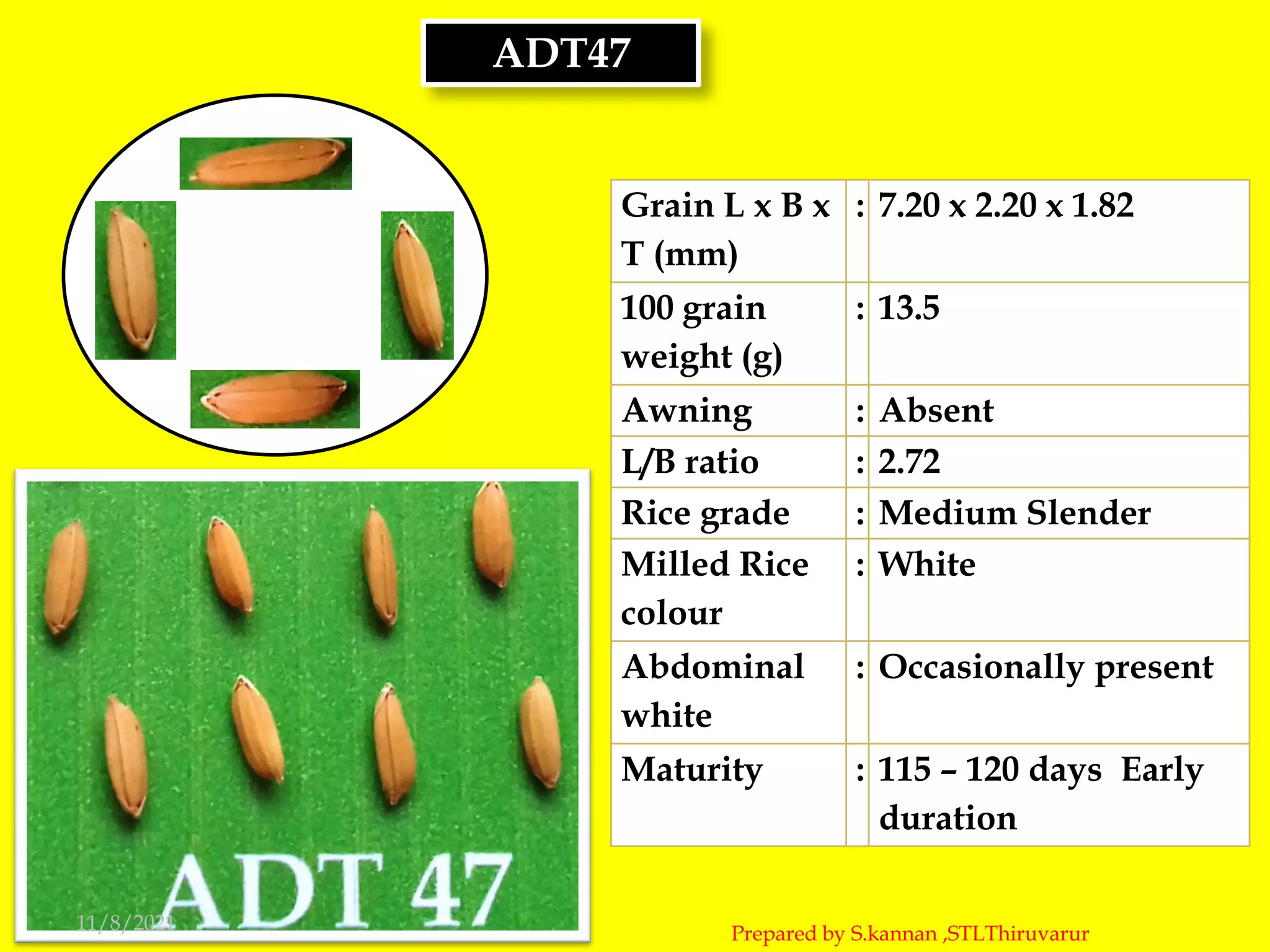 Paddy varietal characters | PDF