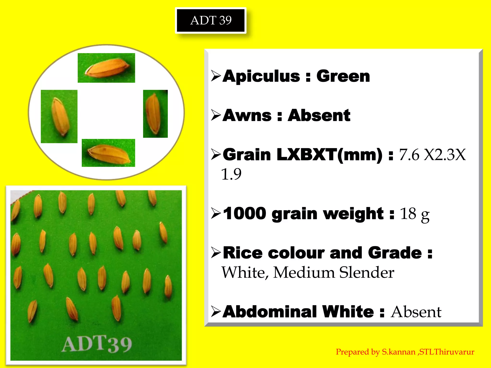 Paddy varietal characters | PDF