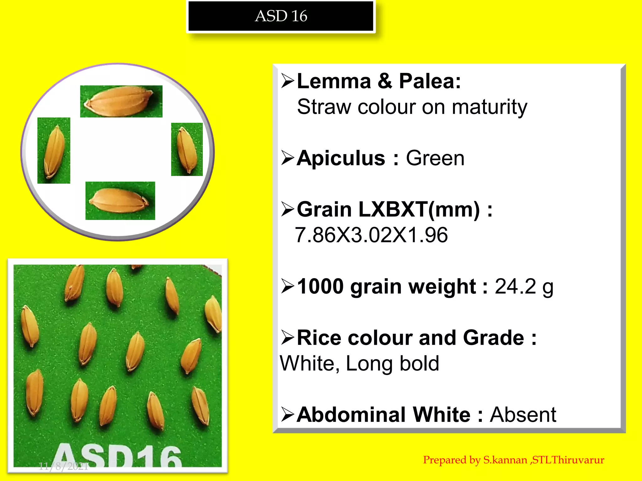 Paddy varietal characters | PDF
