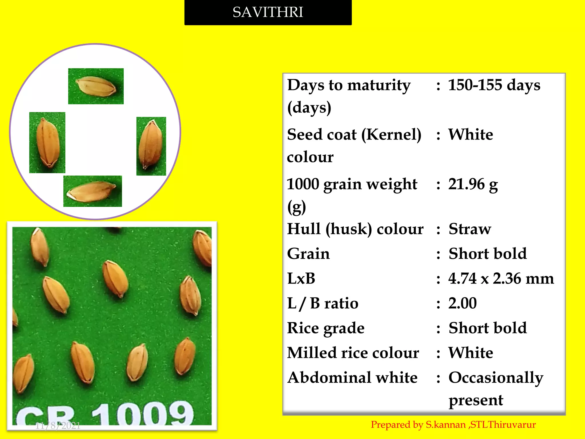 Paddy varietal characters | PDF