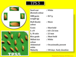 Paddy varietal characters | PDF