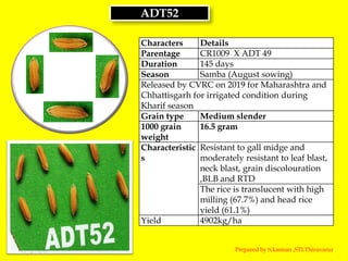 Paddy varietal characters | PDF