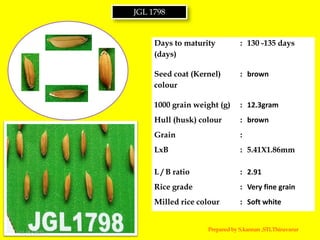 Paddy varietal characters | PDF