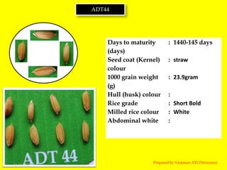 Paddy varietal characters | PDF