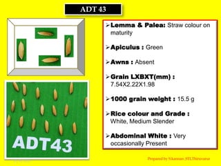 Paddy varietal characters | PDF