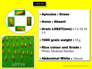 Paddy varietal characters | PDF