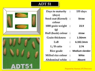 Paddy varietal characters | PDF