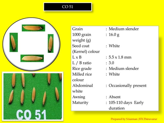 Paddy varietal characters | PDF