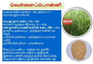 Paddy varietal details of tamilnadu | PDF
